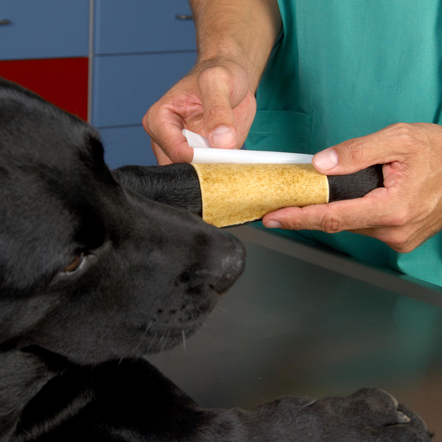 F5000 KRUUSE Manuka Ballı Bandaj ND 5×5 cm – MVM Medikal